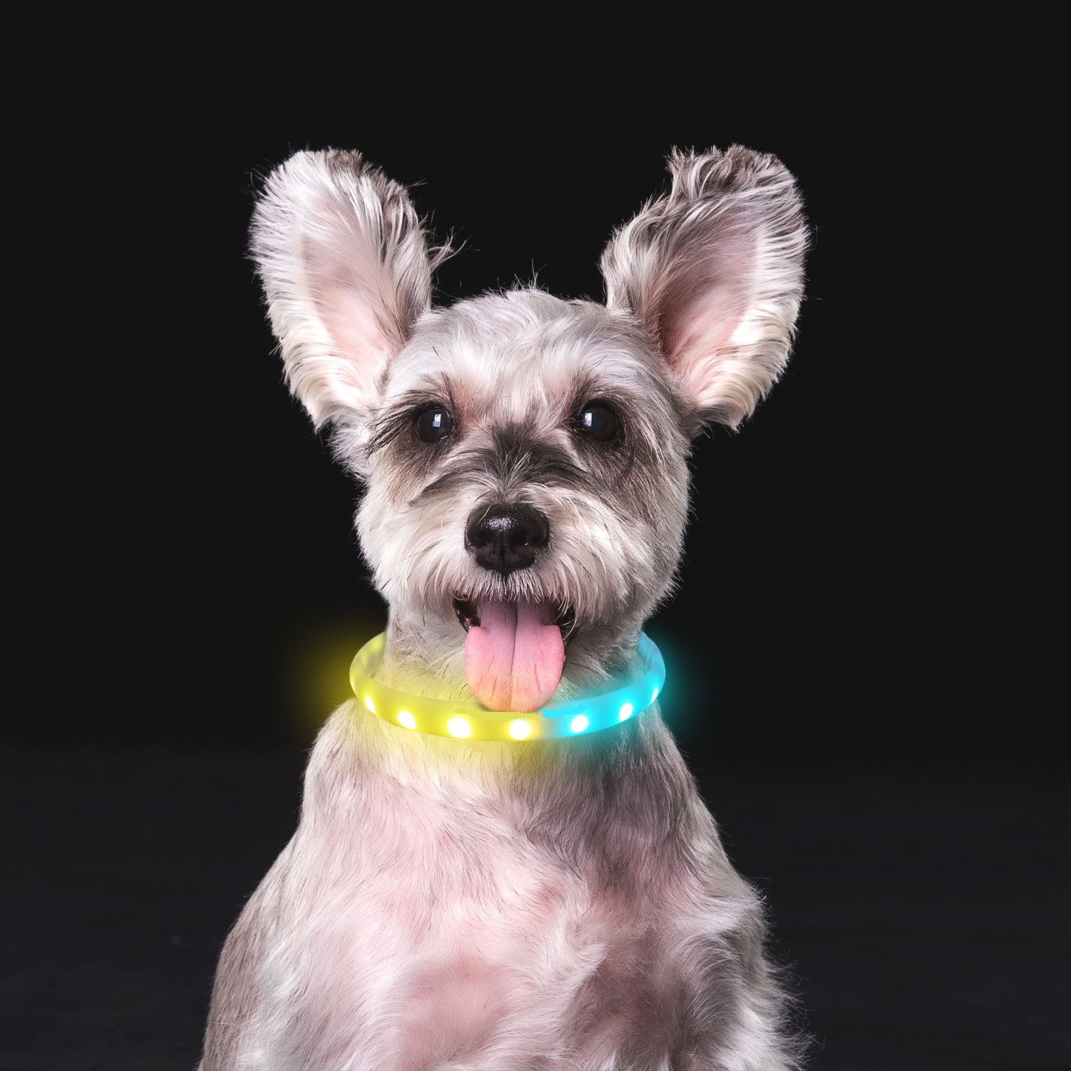 AIDI Pet LED Silicone RGB Dog Collar
